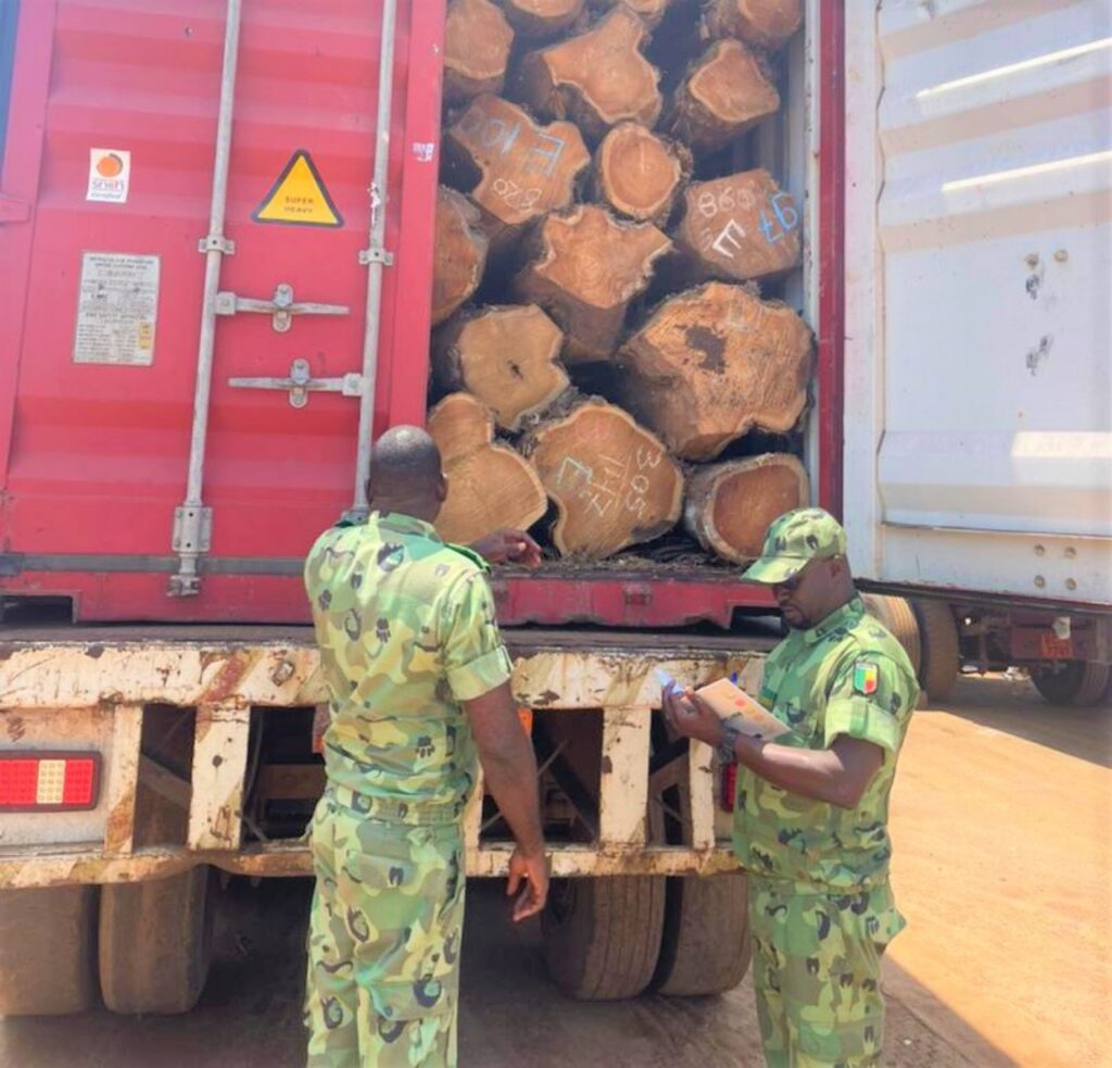 Réforme du secteur forestier au Bénin: Le gouvernement annonce la ...